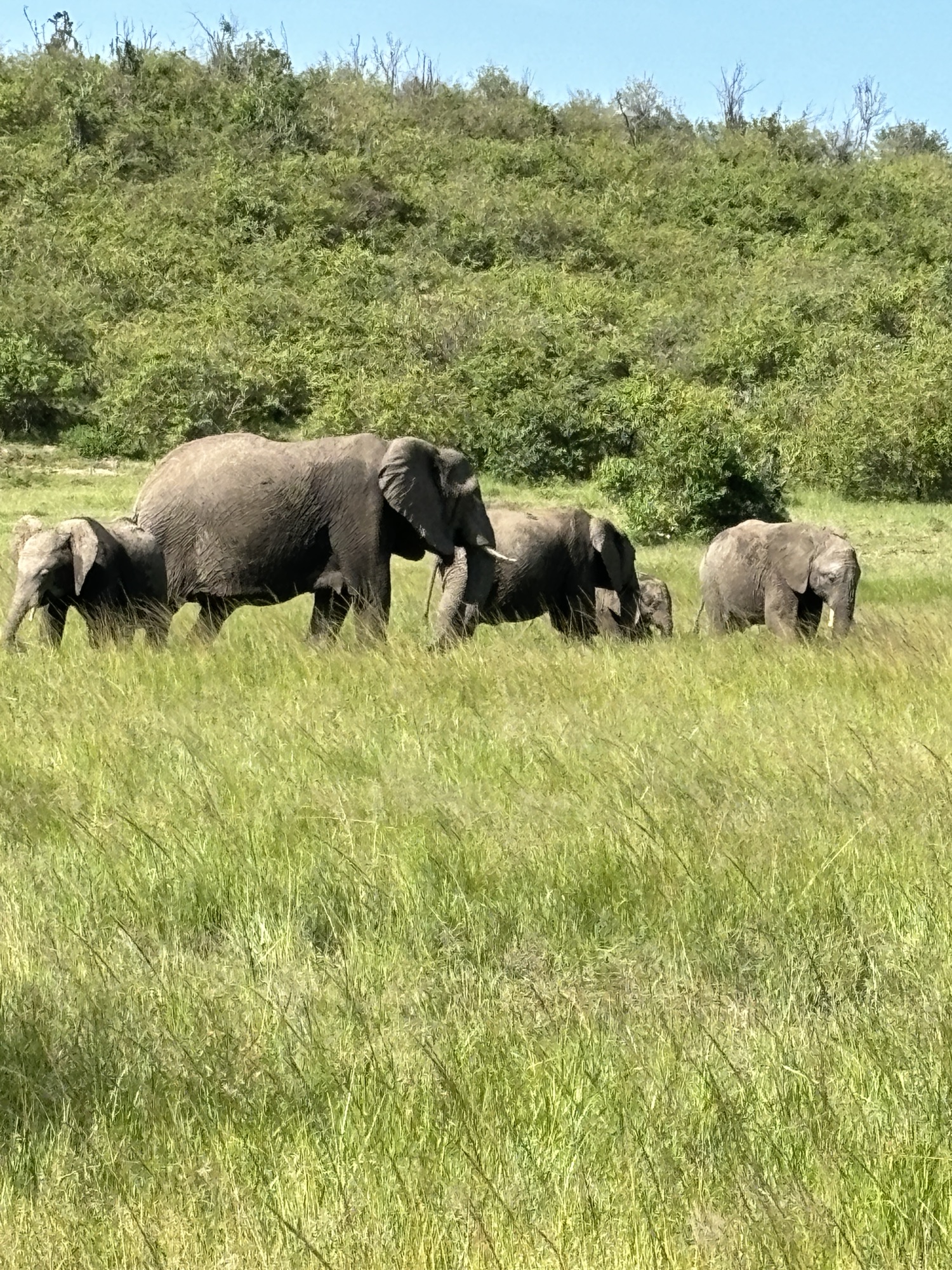 Humanity and Grace in Kenya – Amgattari.com